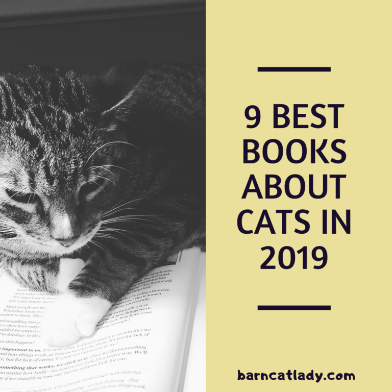 The 9 Best Books About Cats in 2019 – The Barn Cat Lady